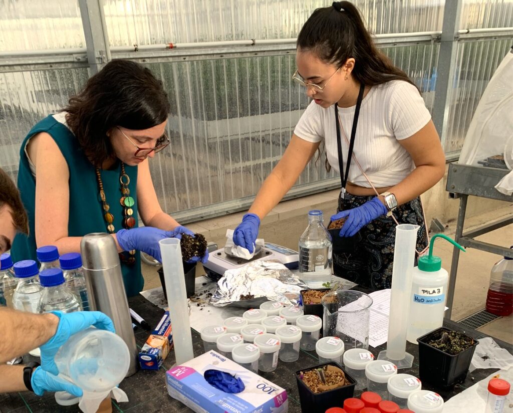 Desarrollan un papel de film biodegradable para reducir uso de ...